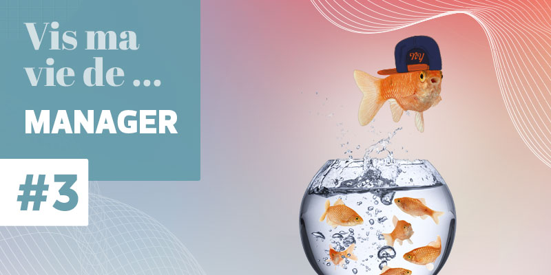 Luc, 50 ans, dirigeant d’association : « Manager la génération Z, c’est ...