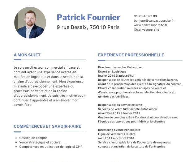 Exemple de CV de directeur commercial - Cadremploi