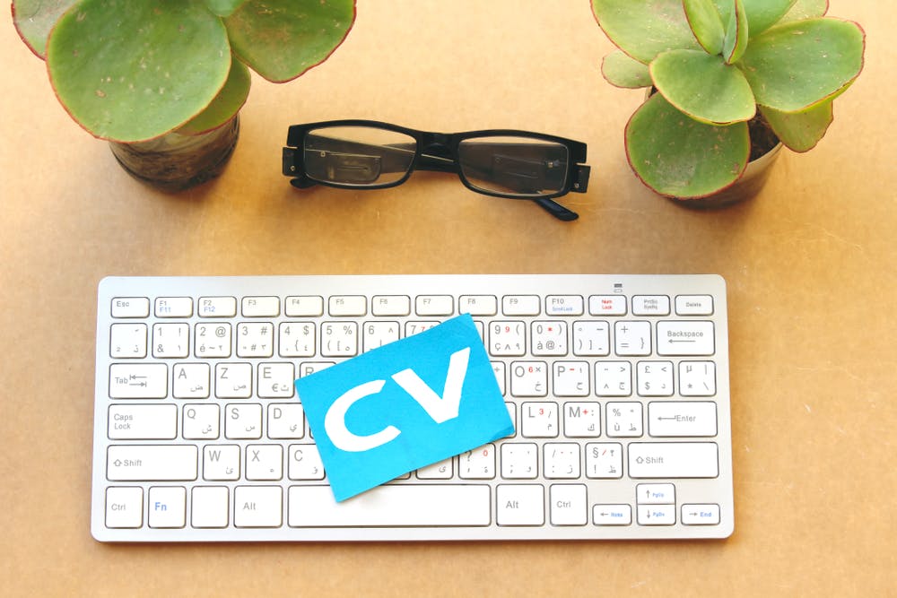 Que mettre dans son CV : les rubriques indispensables et... celles qui ...